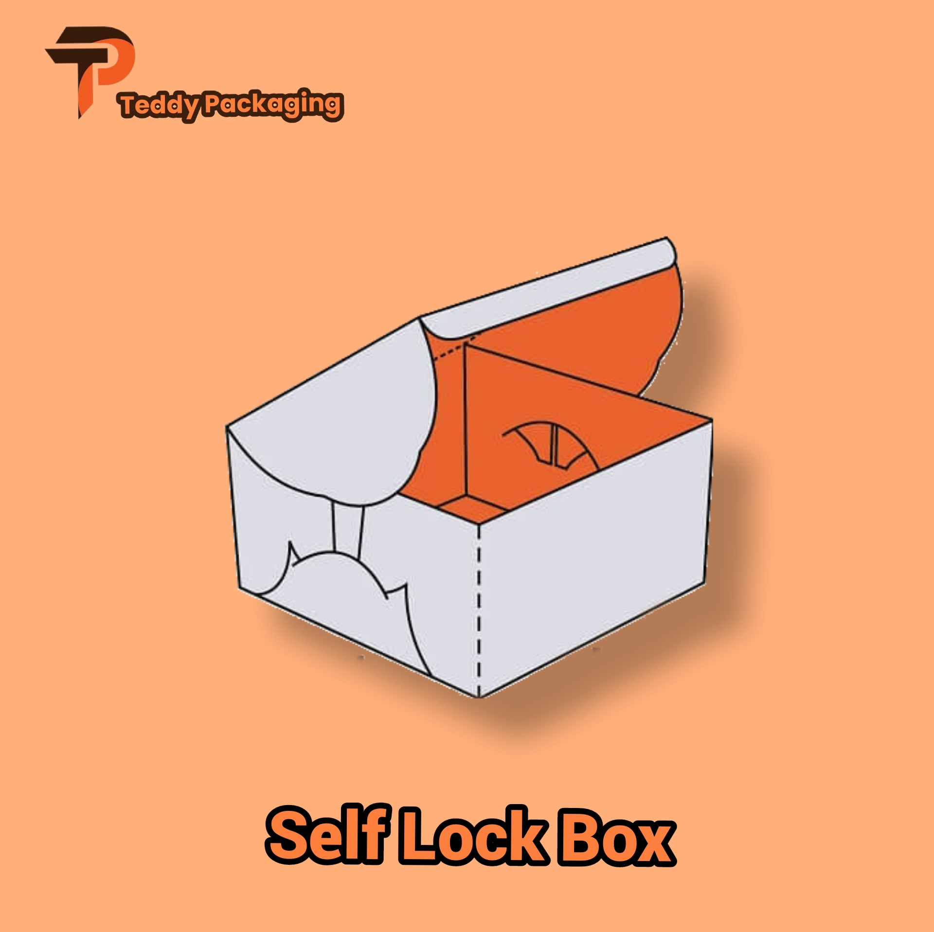 Self Lock Box - Teddy Packaging